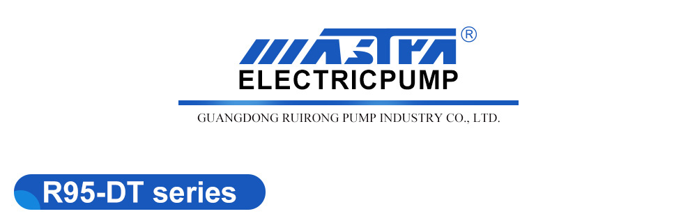 Mastra 4 inch submersible pump - R95-DT series 2 m³/h rated flow ...